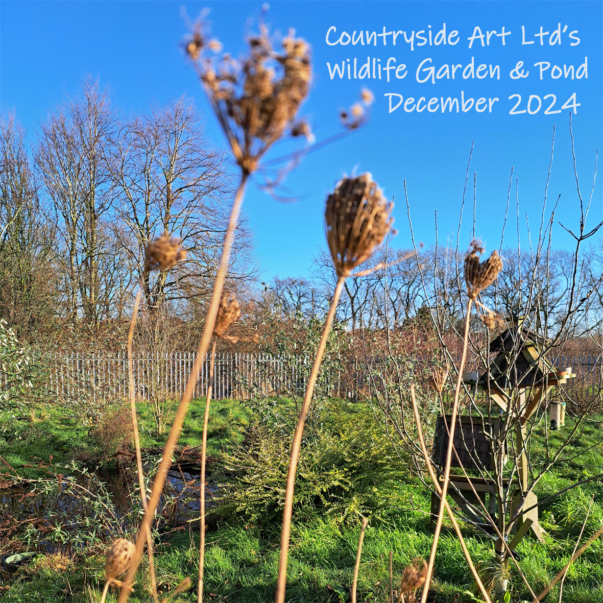 Latest Royal Wedding radio interview - Countryside Art